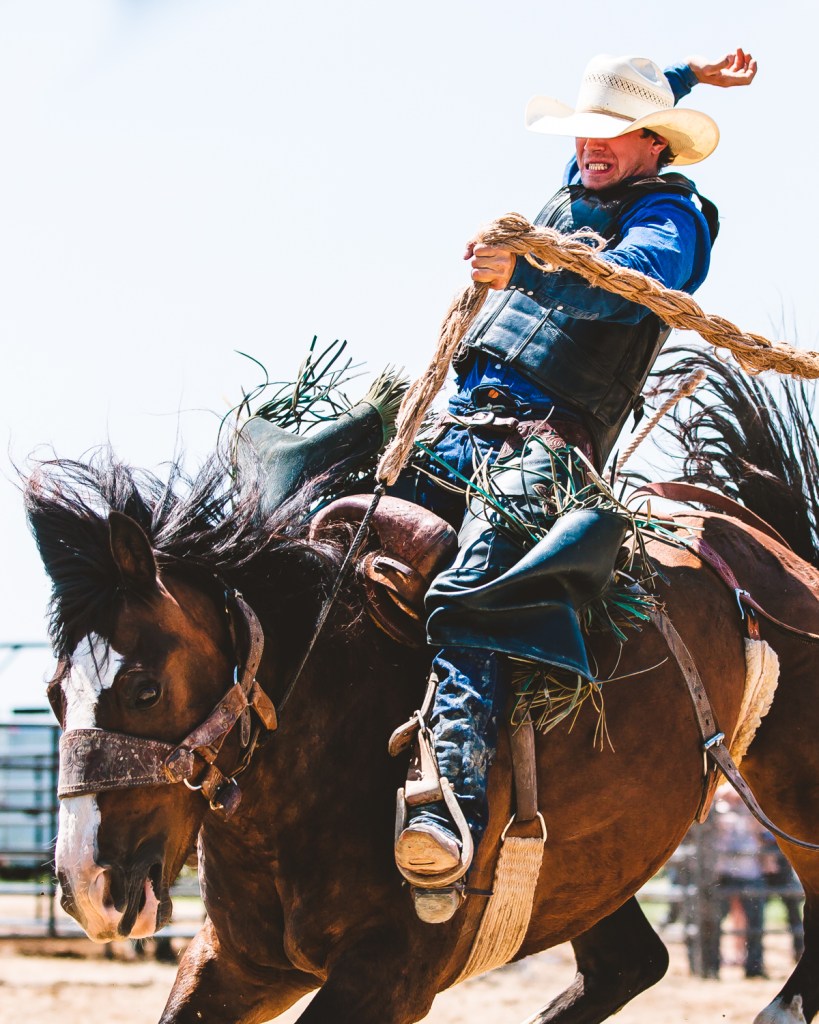 Gallery - Rawhide Rodeo Company